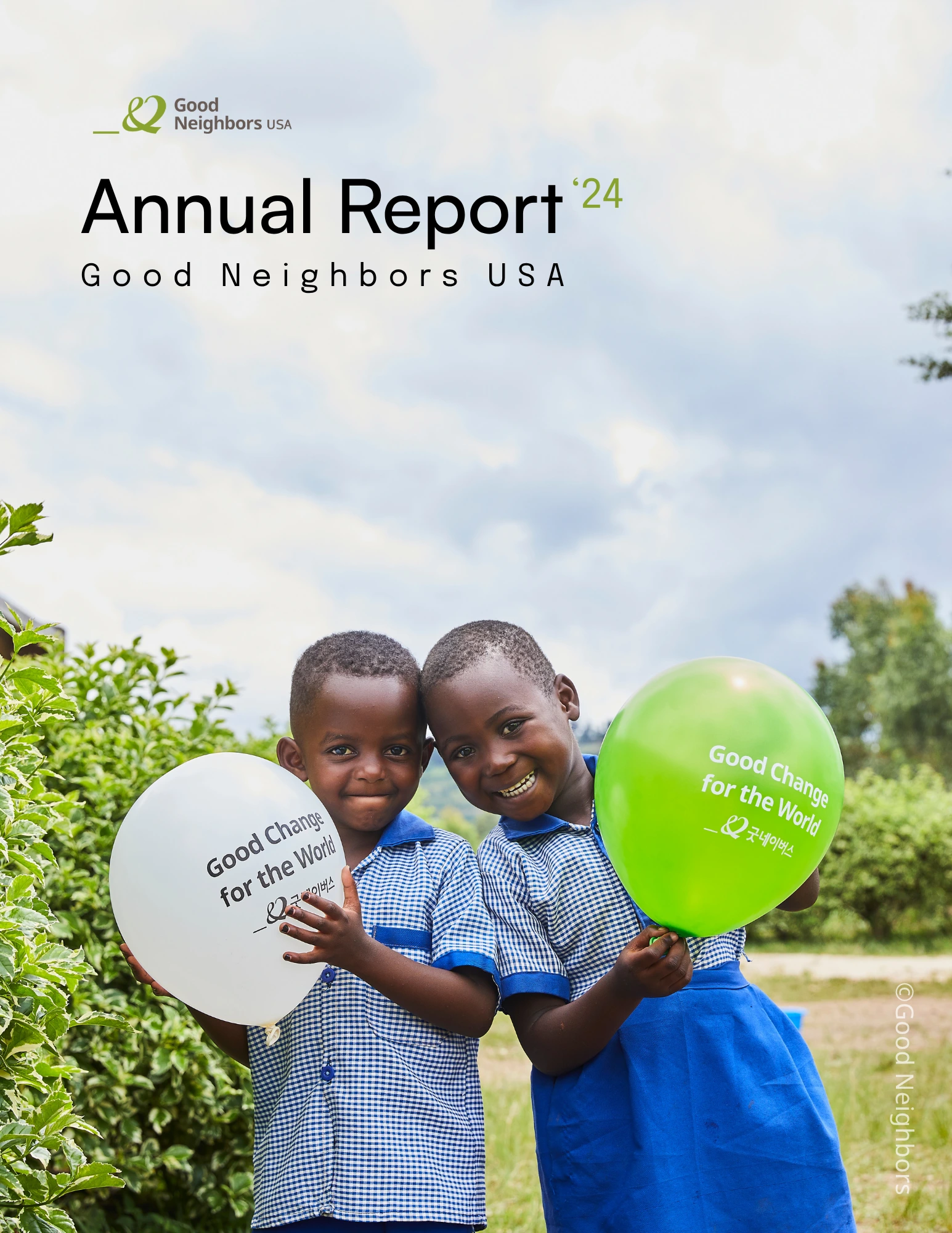 Financial Overview - Good Neighbors